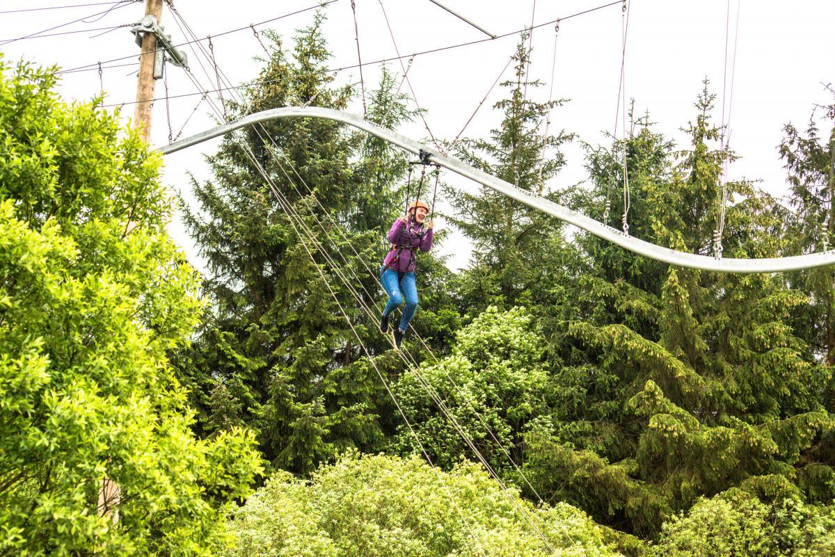 Calvert Kielder - Supplier Directory